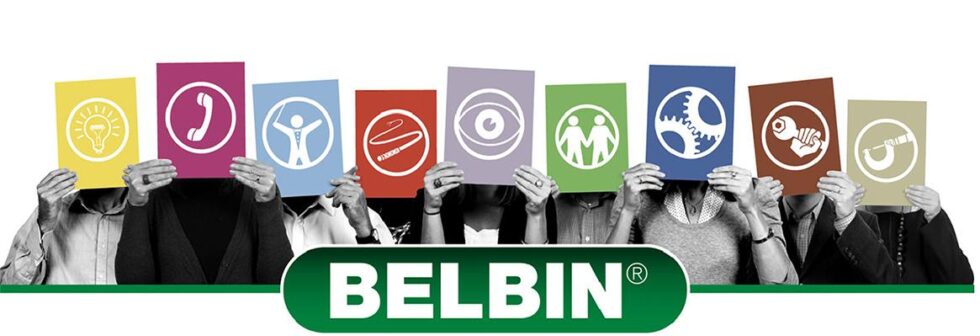 Belbin Team Roles - Onward Leb